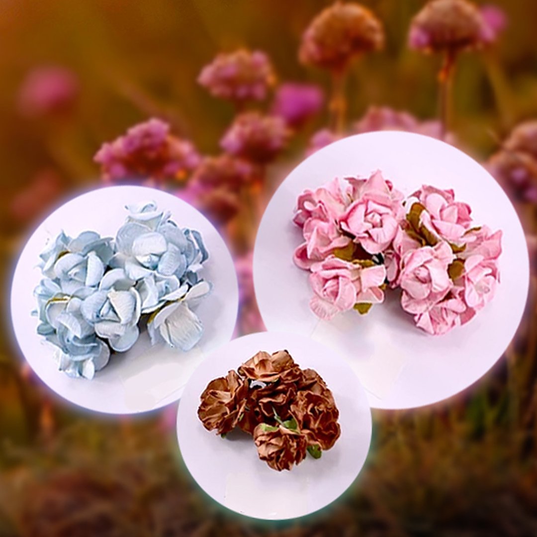 FLORES – Volcano LTDA